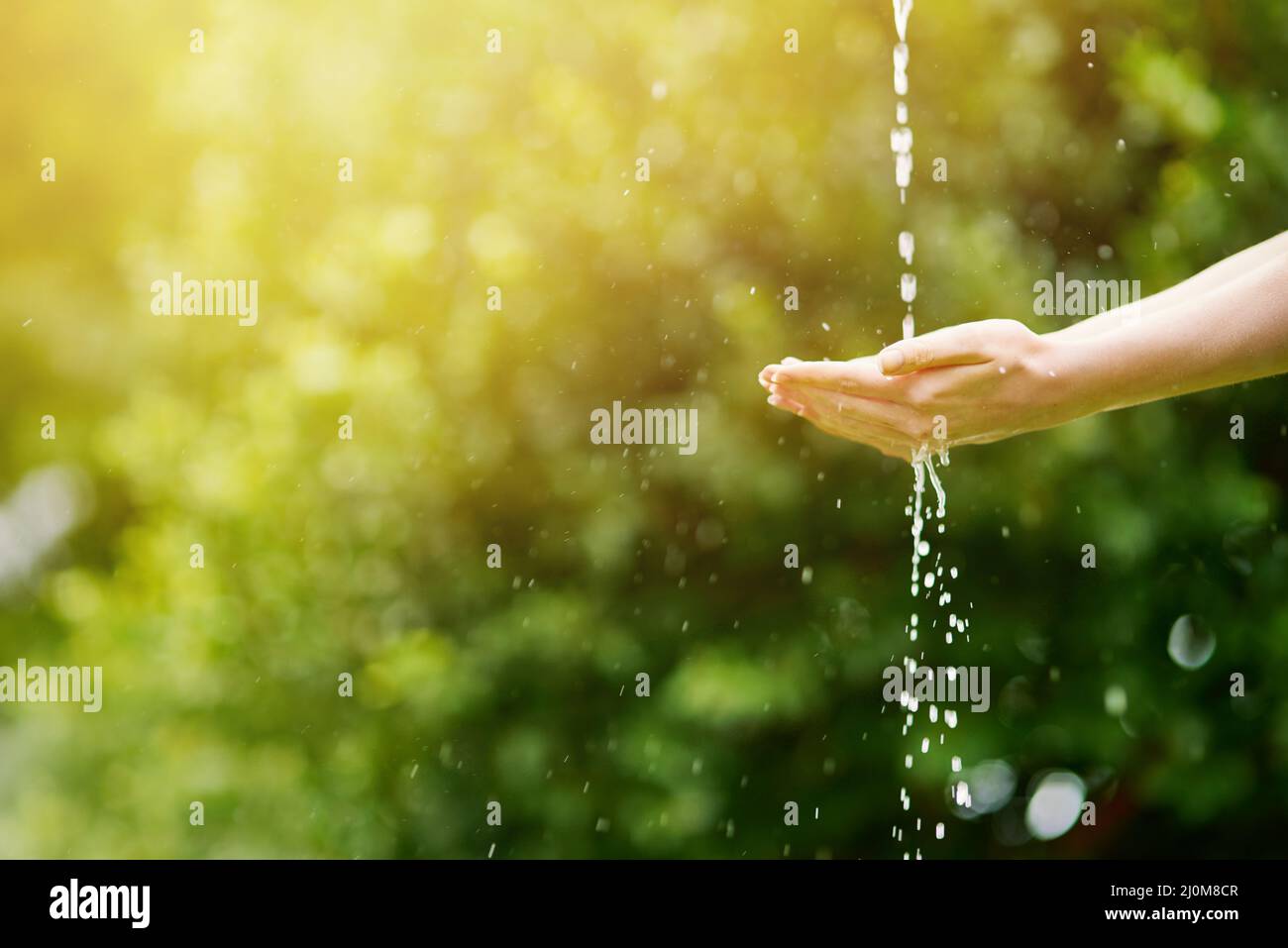 Water is life. Shot of hands held out under a stream of water Stock ...