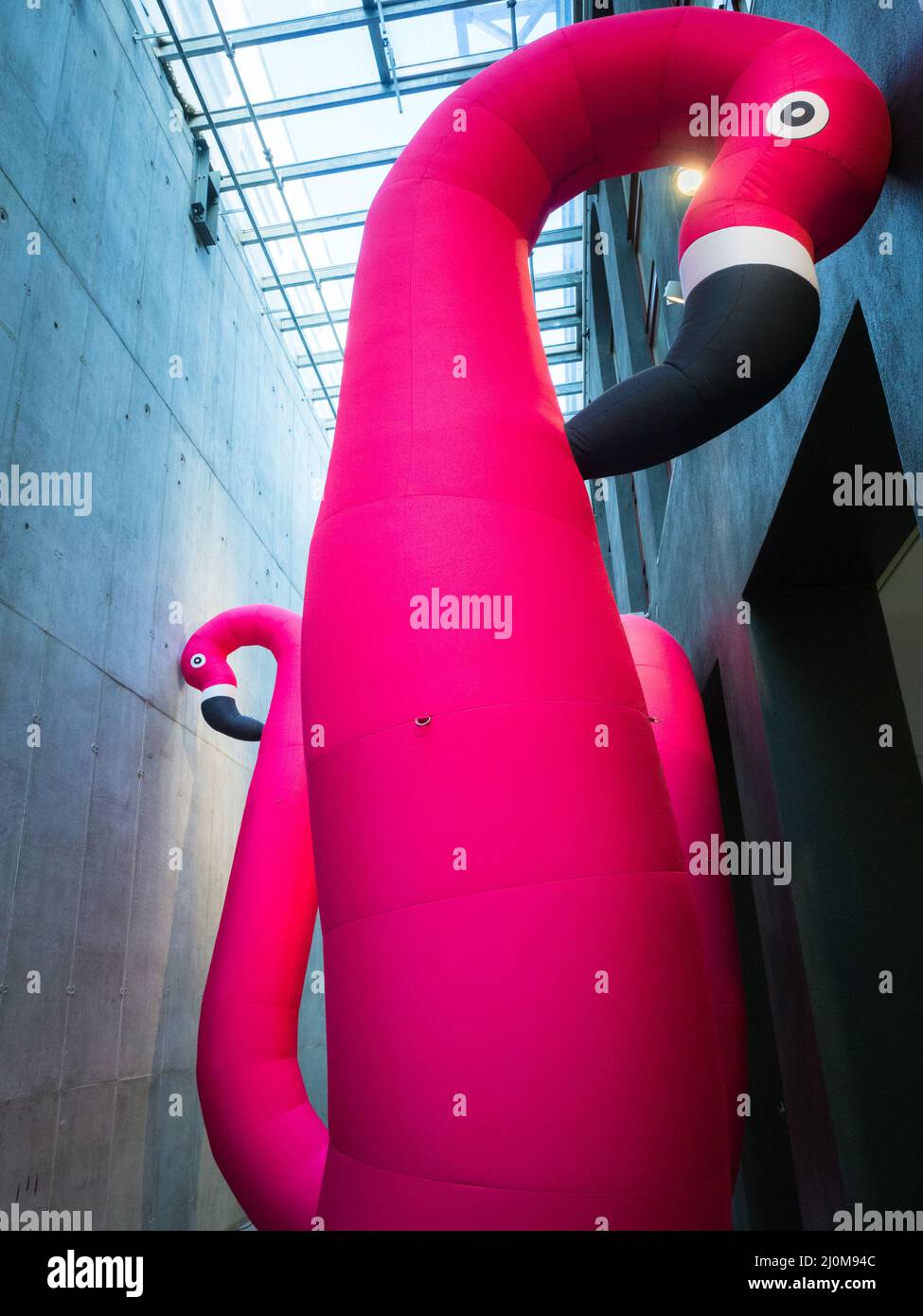 Pool inflatable instagram hi-res stock photography and images - Alamy