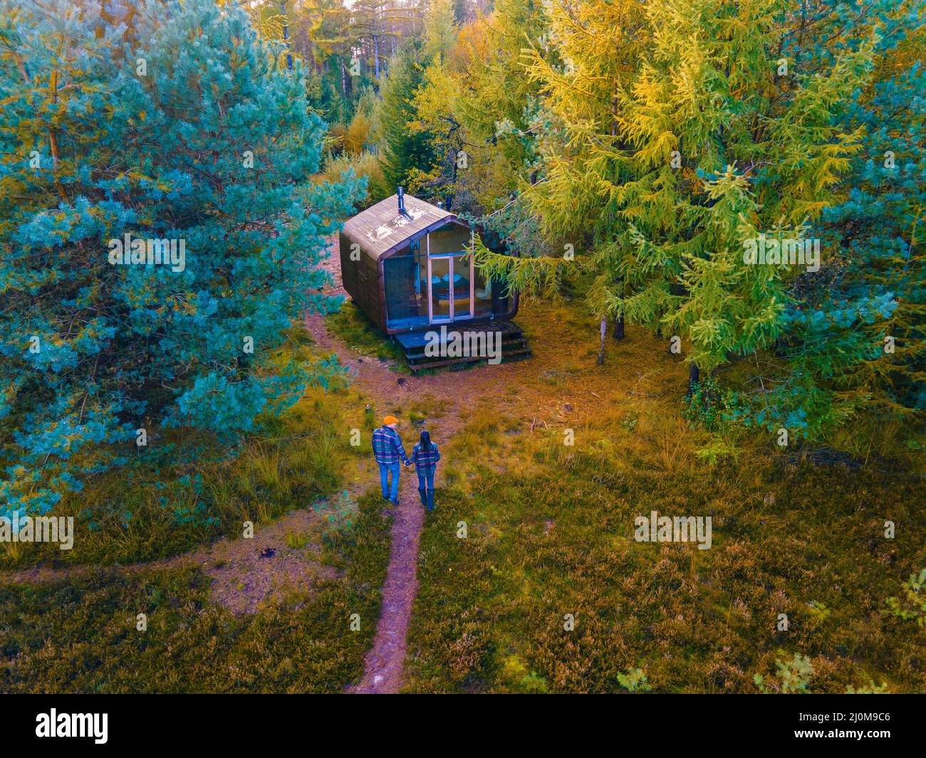 Wooden hut in autumn forest in the Netherlands, cabin off grid ,wooden ...