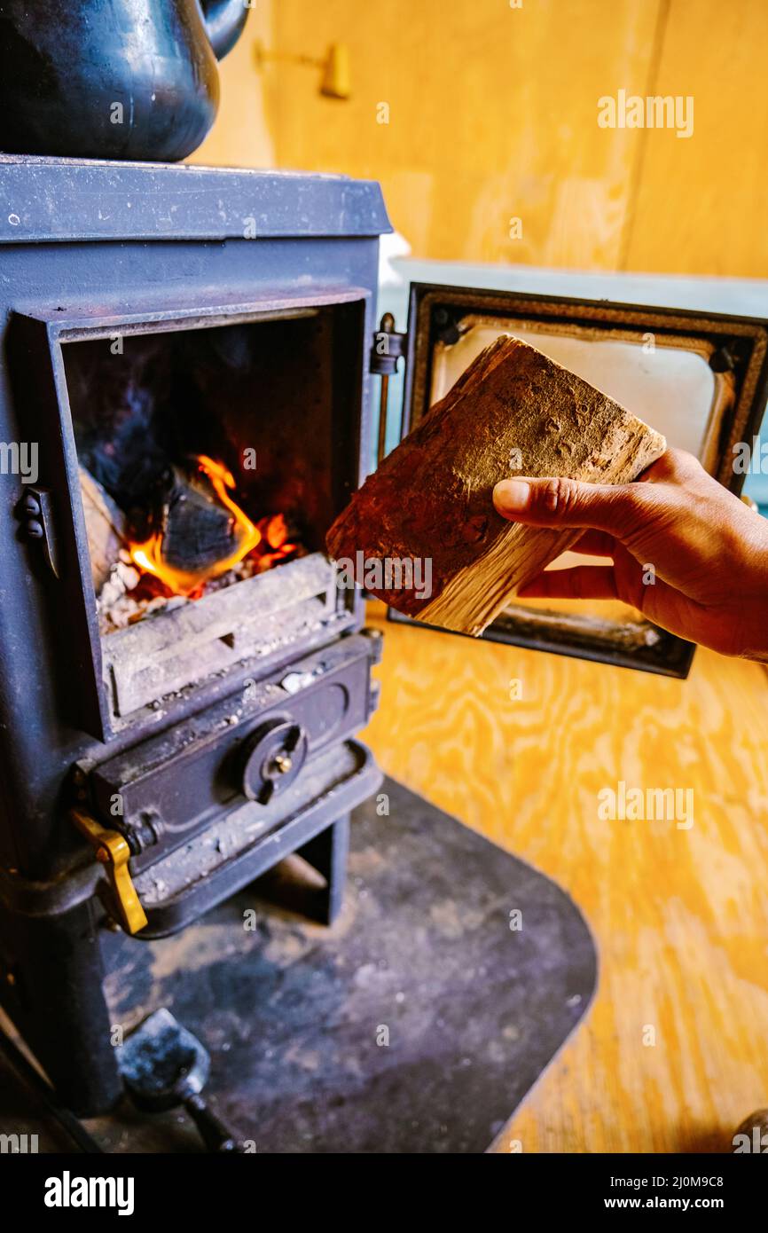 Wooden hut in autumn forest in the Netherlands, cabin off grid ,wooden ...