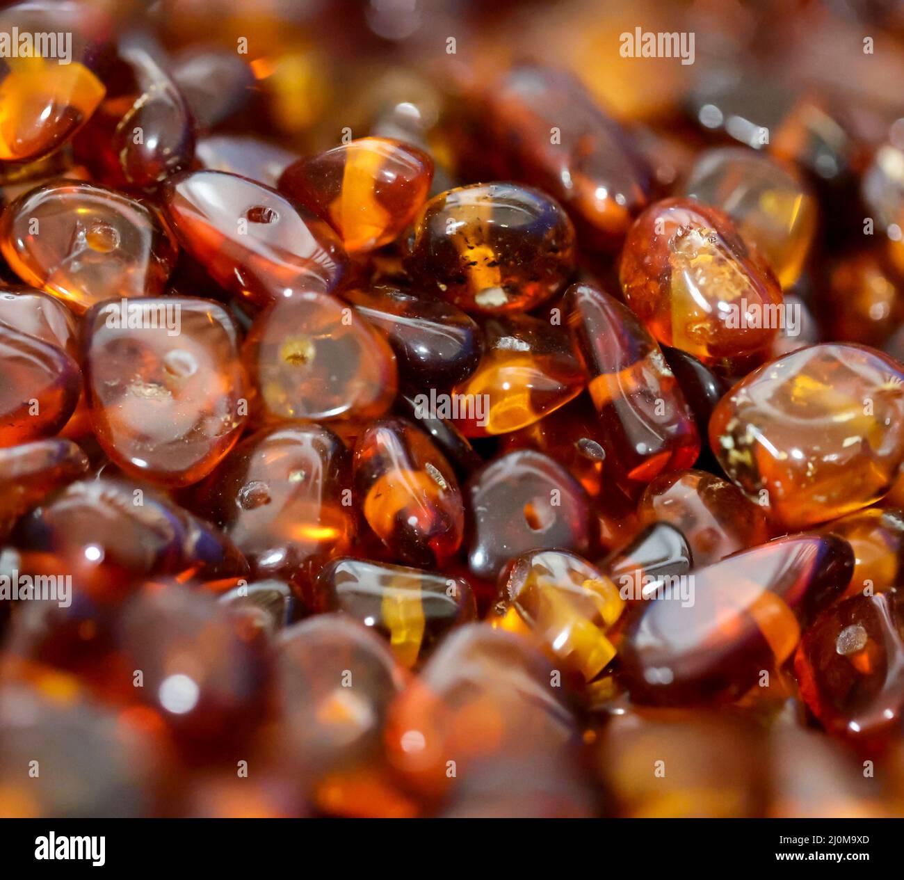 Amber in the light. Polished amber. Amber is the former resin of trees ...