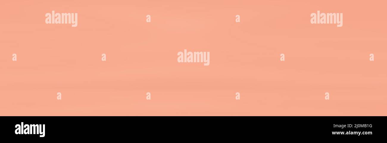 Photographic Pink Gradient Seamless studio backdrop Background Stock ...