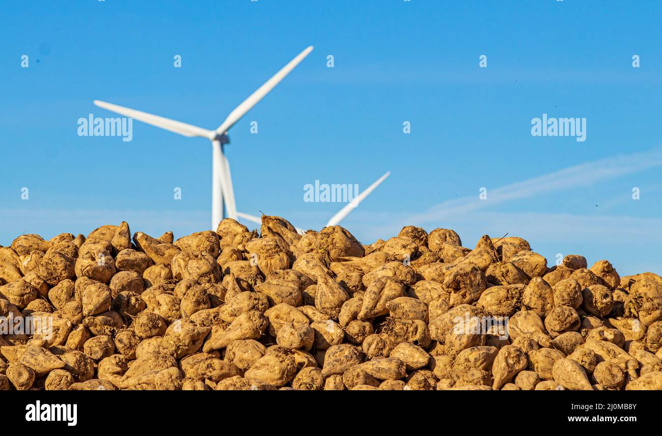 E10 biofuel hi-res stock photography and images - Alamy