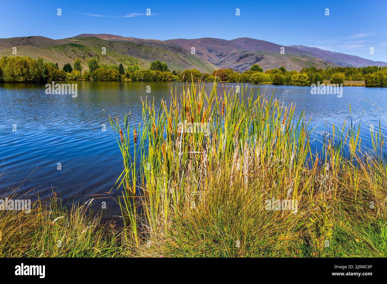 Cook park hi-res stock photography and images - Alamy