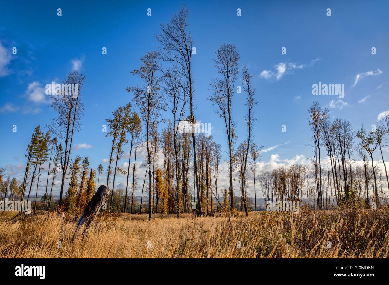 Plain season hi-res stock photography and images - Alamy
