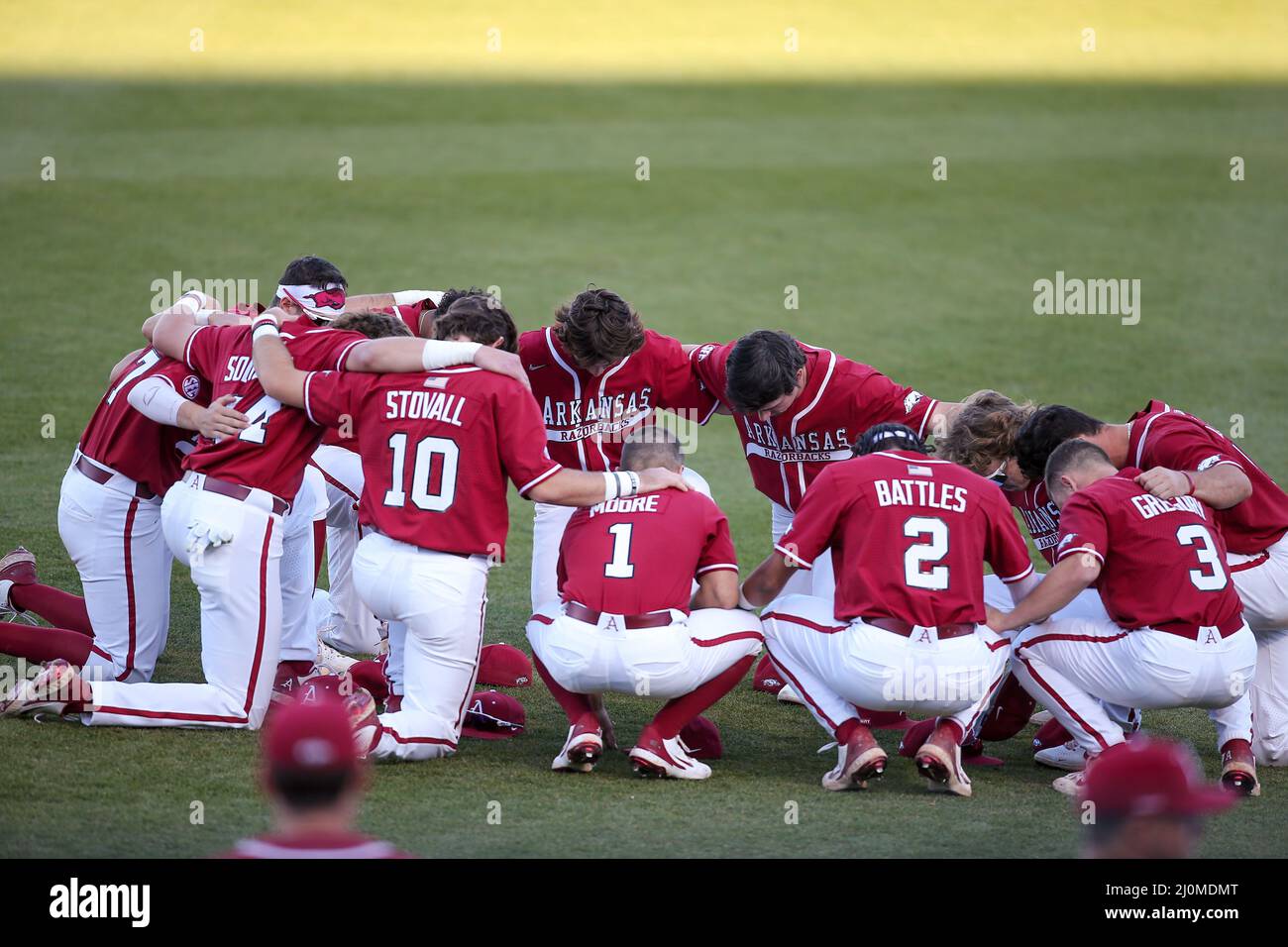 Arkansas razorback baseball hi-res stock photography and images - Alamy