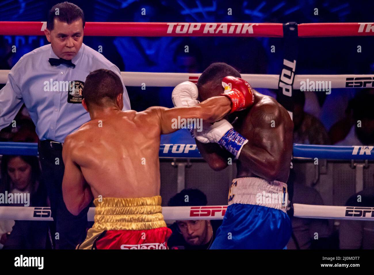 Josec hi-res stock photography and images - Alamy