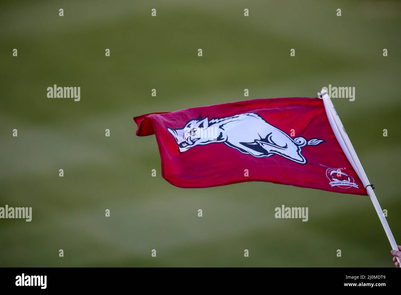 Arkansas razorback flag hi-res stock photography and images - Alamy
