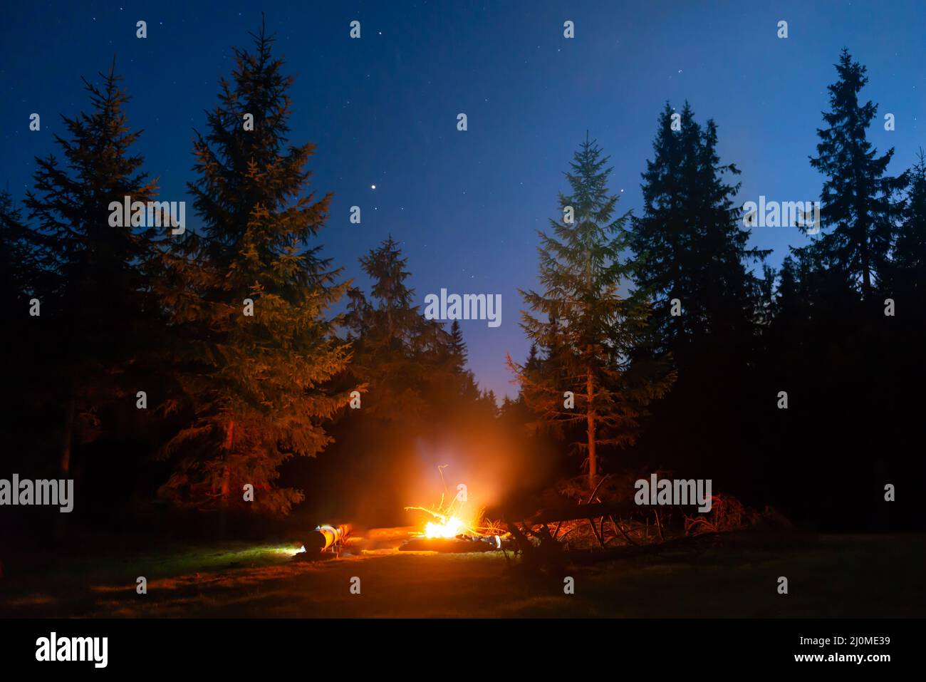 Bonfire in night forest with people Stock Photo - Alamy