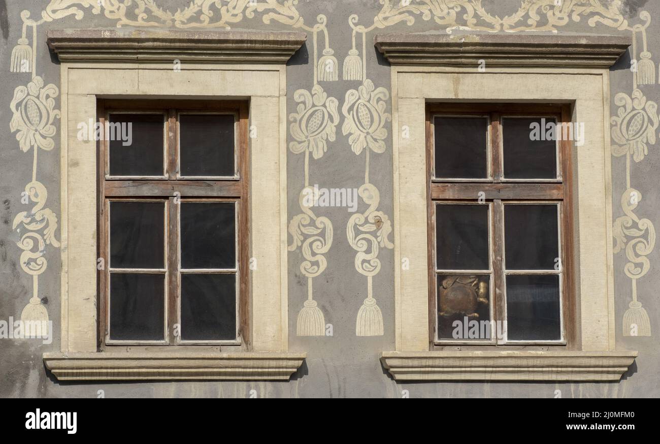 Wood Windows Exterior
