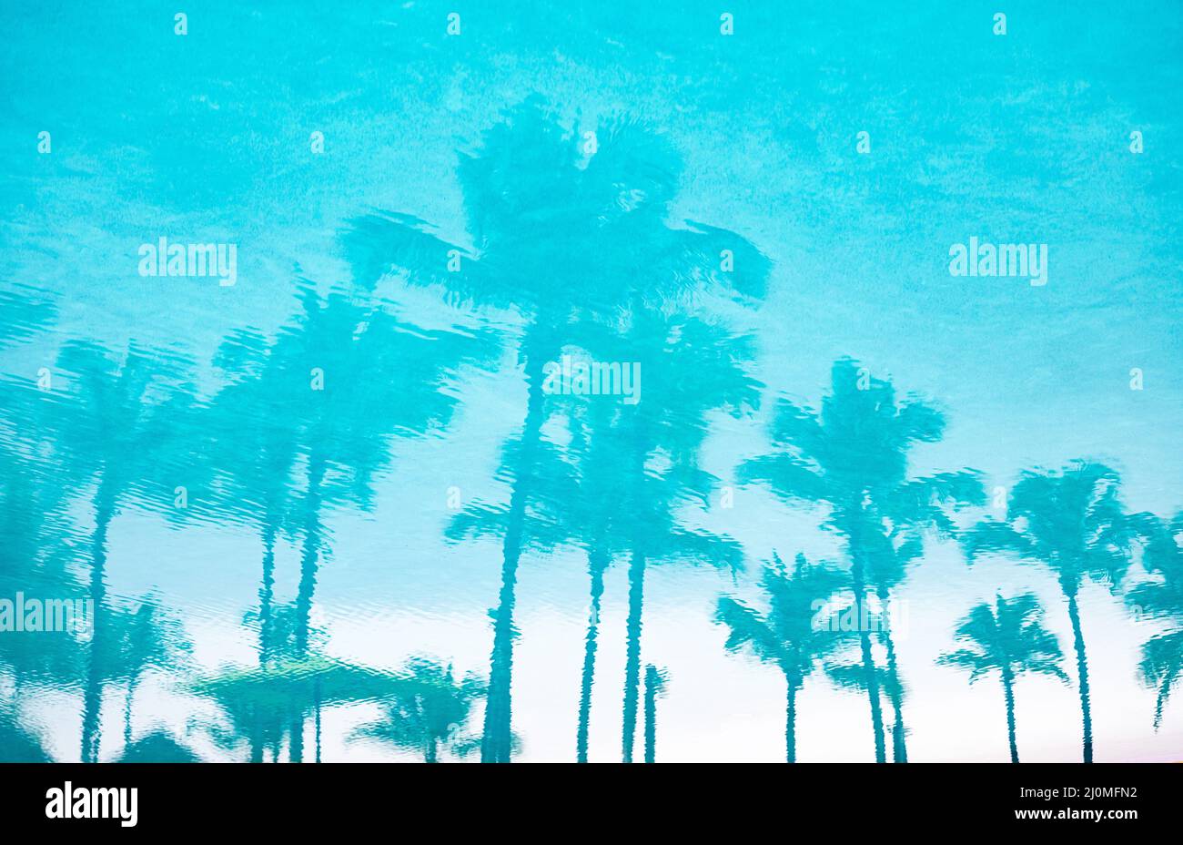 Reflection of palm trees in water Stock Photo - Alamy
