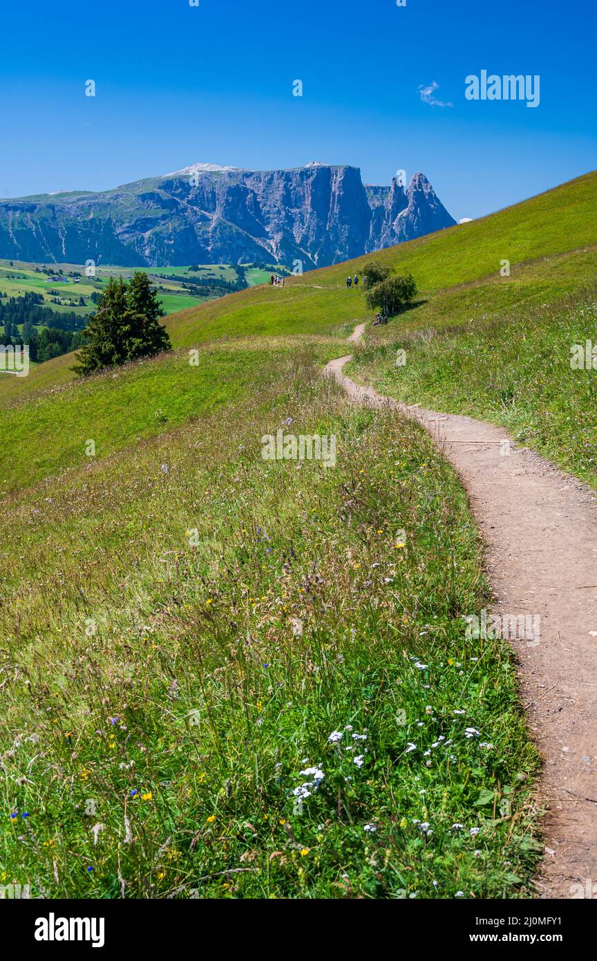 Sciliar from Seiser Alm Stock Photo - Alamy