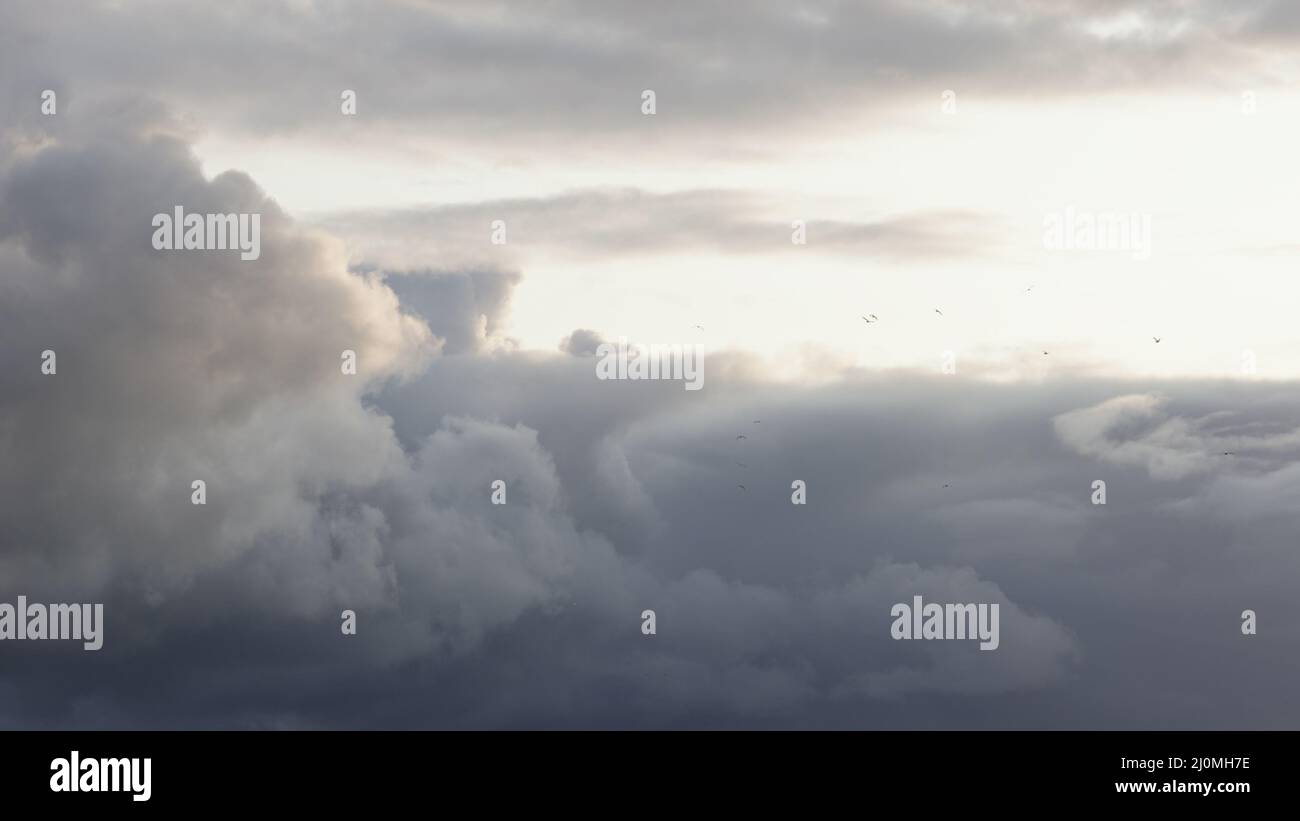 Birds flying in slow motion hi-res stock photography and images - Alamy