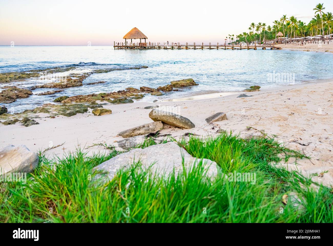 Green grass on the beach Stock Photo - Alamy