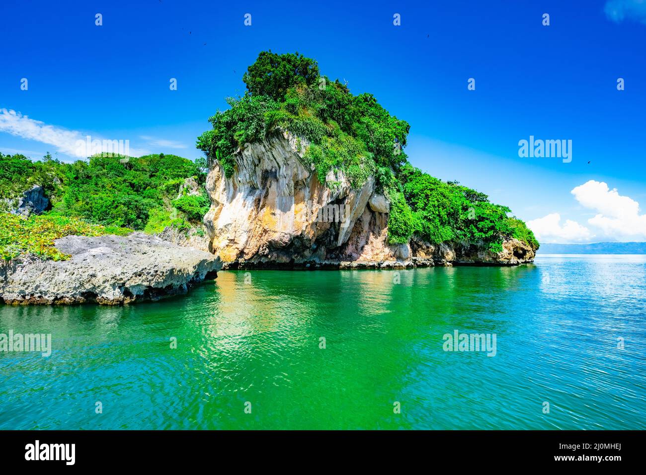 Dominican republic national bird hi-res stock photography and images ...