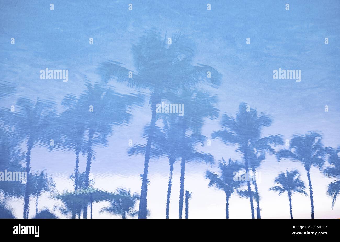 Reflection of palm trees in water Stock Photo - Alamy