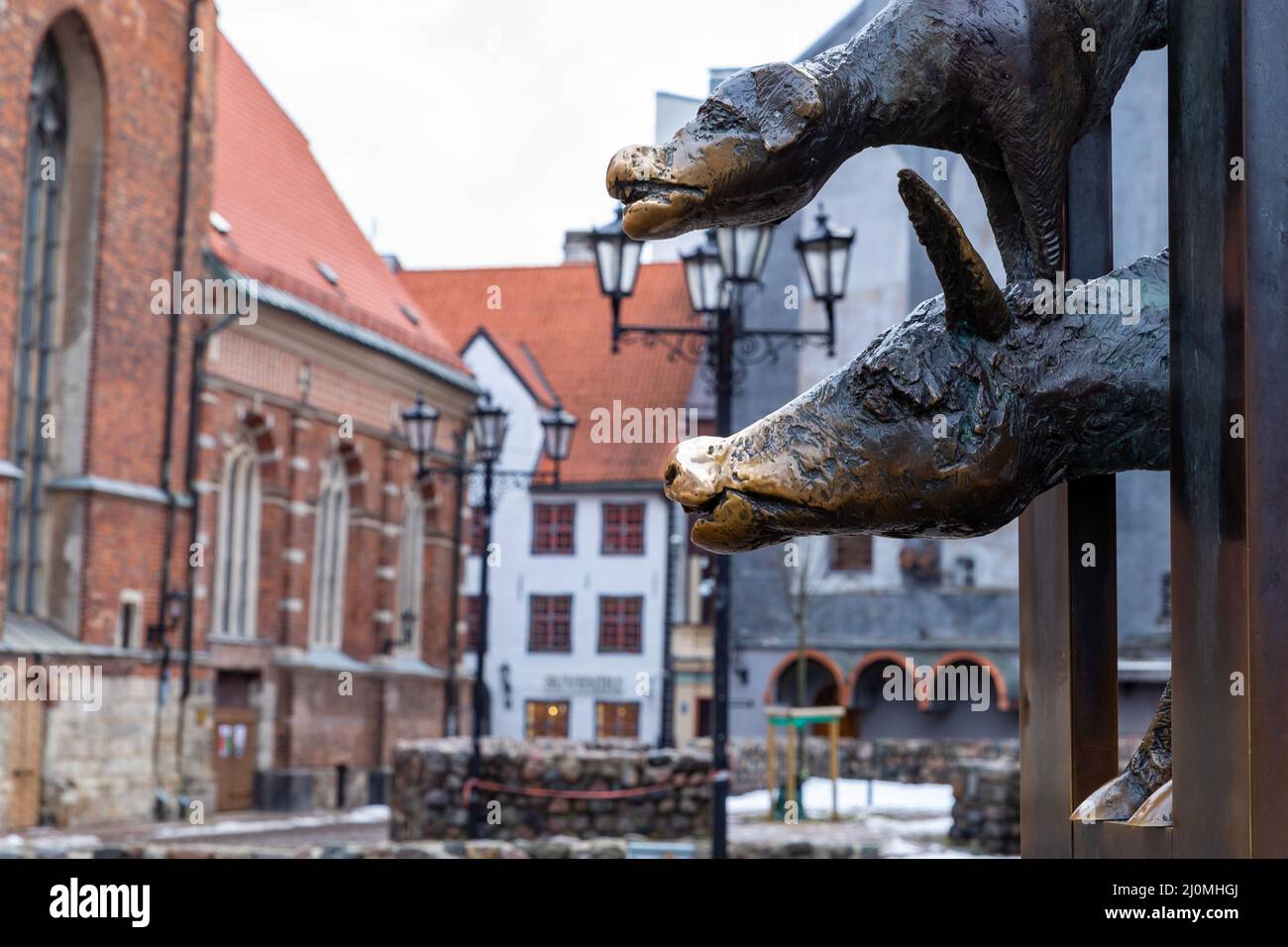 Riga Old Town. Statue of Bremen Town musicians. Medieval Gothic ...