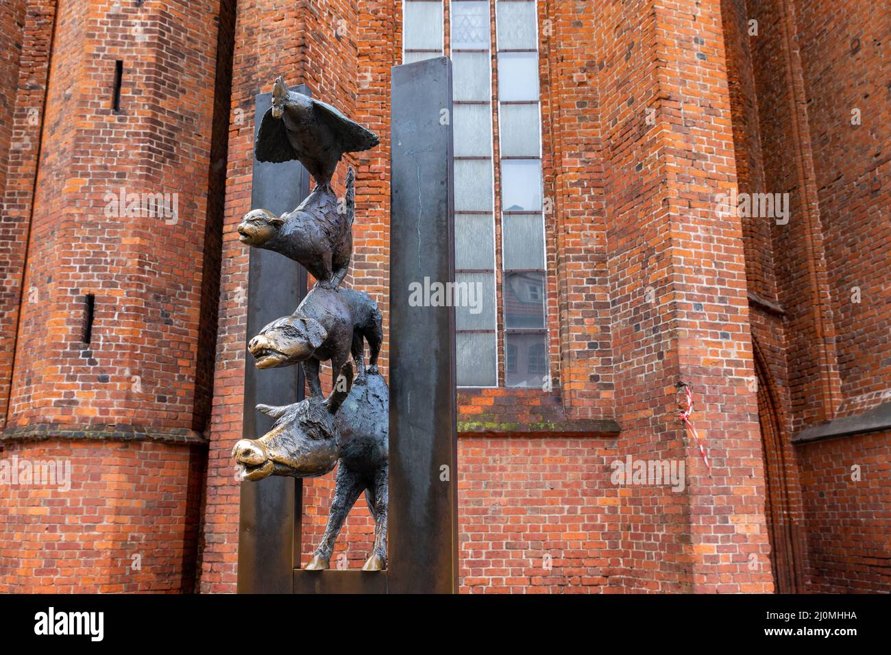 Riga Old Town. Statue of Bremen Town musicians. Medieval Gothic ...