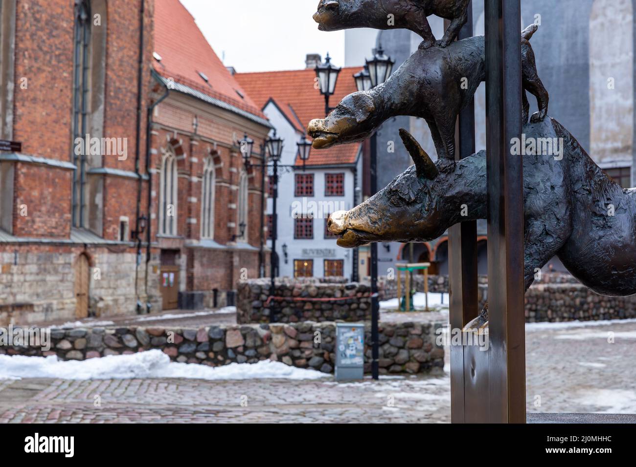 Riga Old Town. Statue of Bremen Town musicians. Medieval Gothic ...