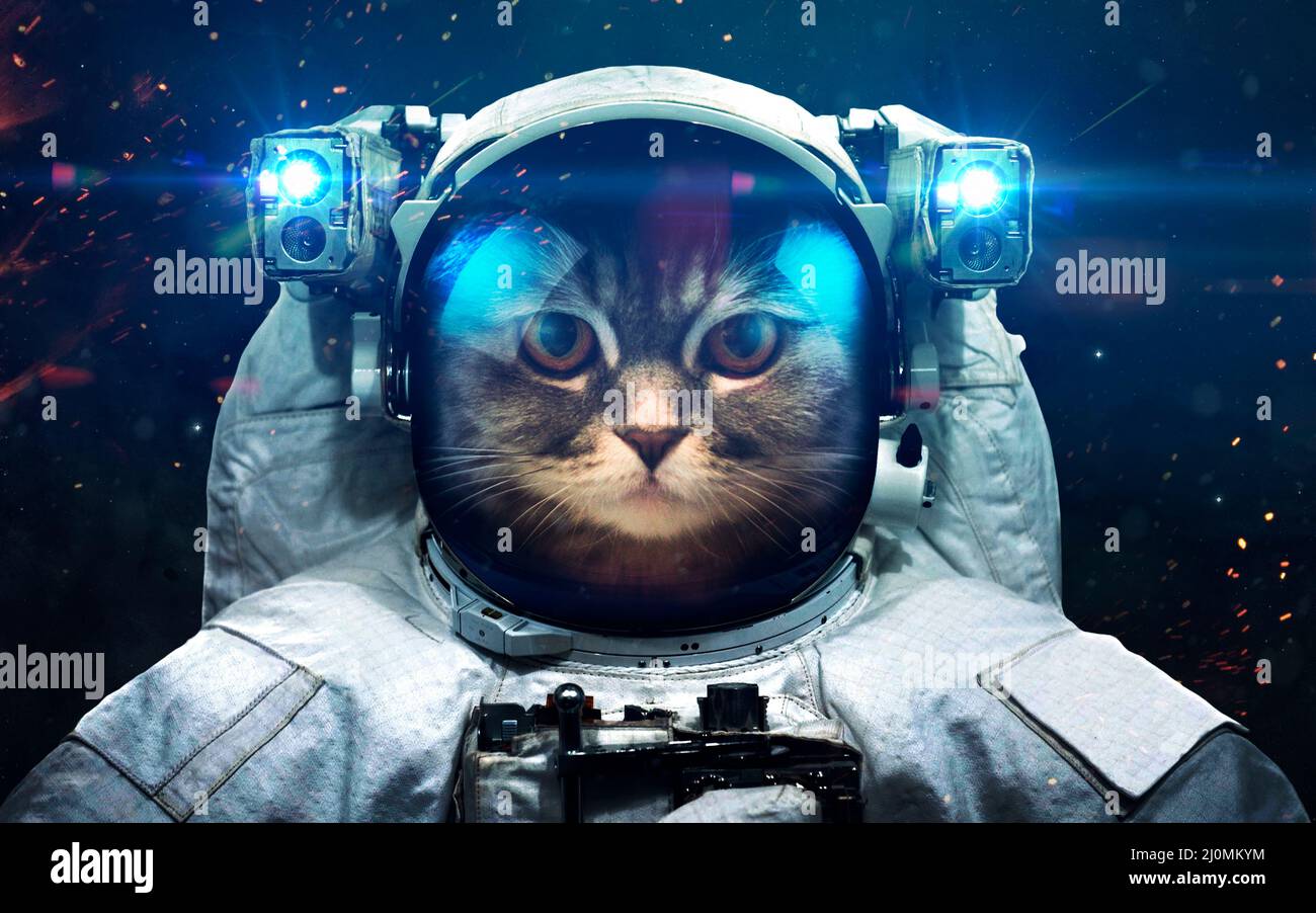 Space Animals Wallpaper
