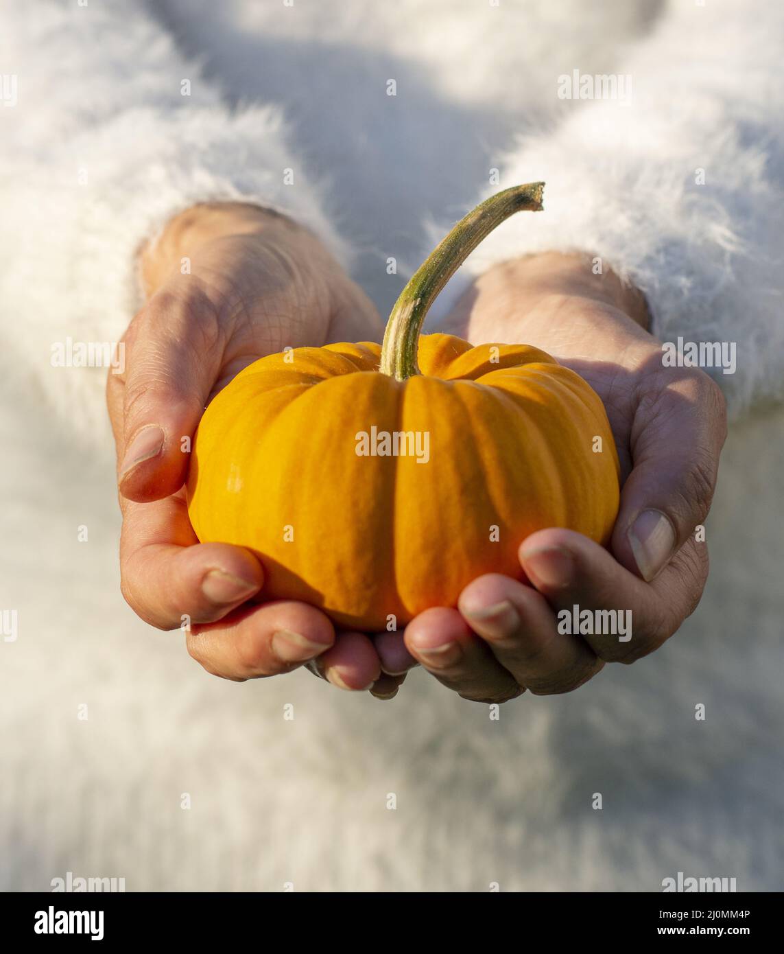 Dwarf woman hi-res stock photography and images - Alamy