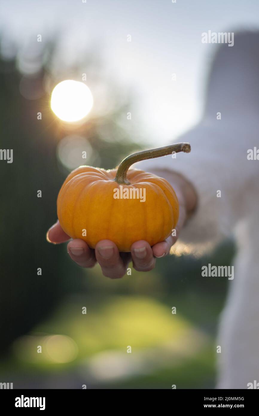 Dwarf woman hi-res stock photography and images - Alamy
