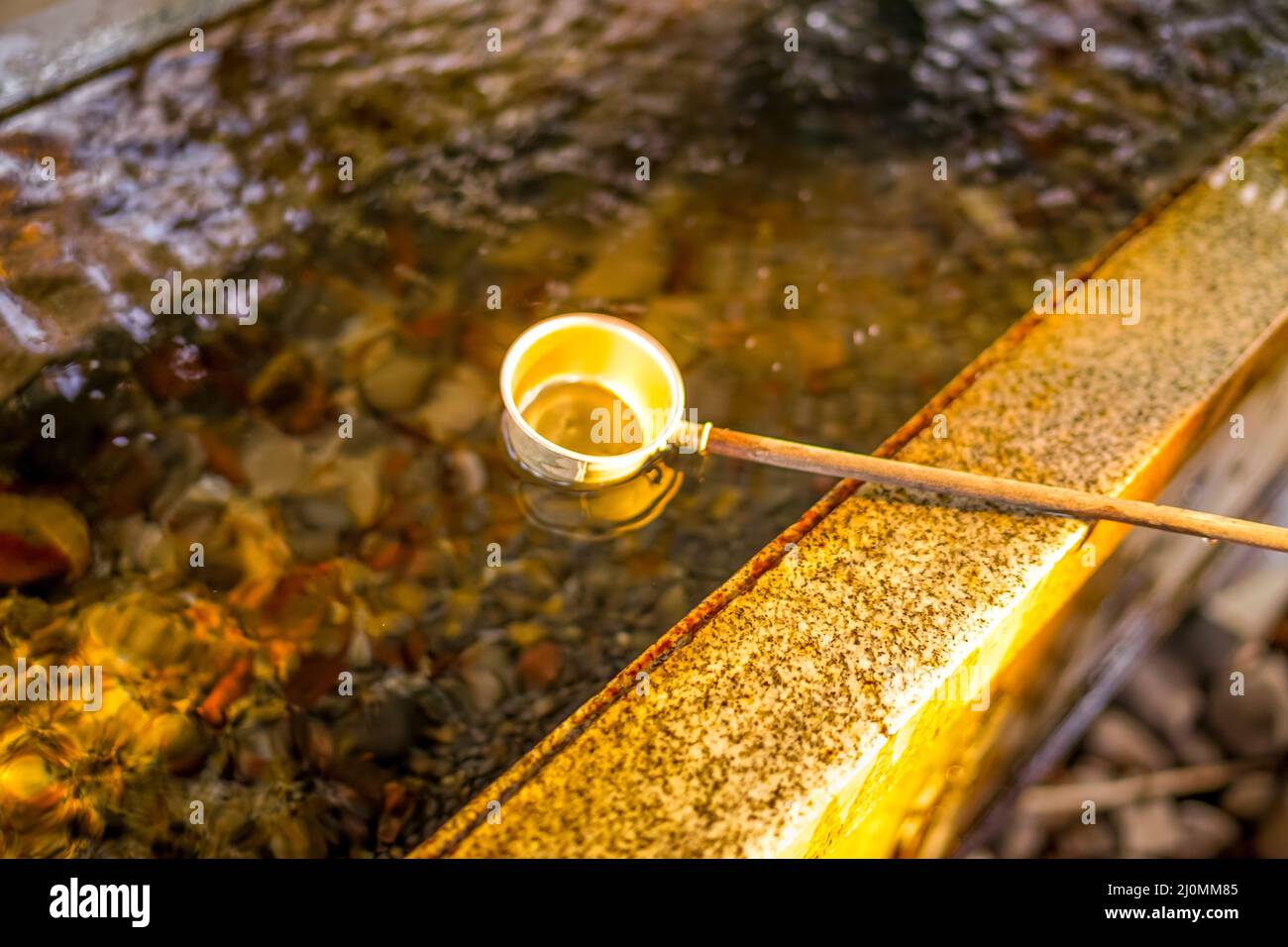 Ladle gourd hi-res stock photography and images - Alamy