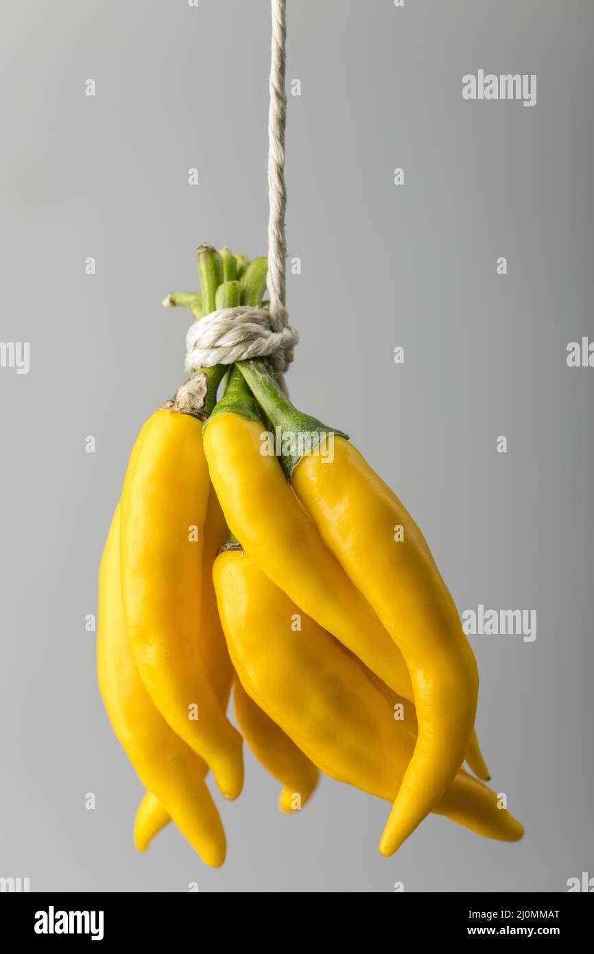 Hanging by a string hi-res stock photography and images - Alamy
