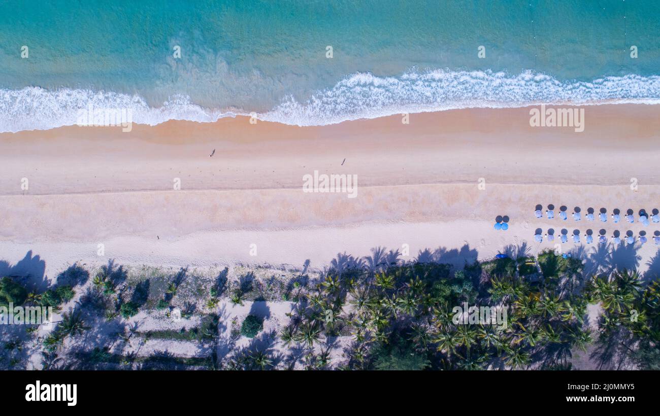 Aerial view top down of Coconut palm trees on the beautiful Karon beach ...