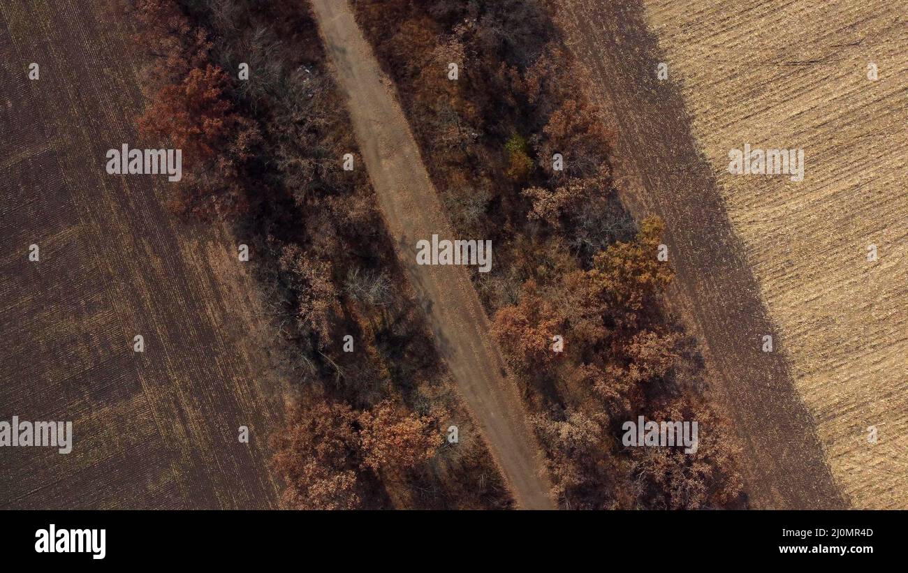 Landscape view of dirt rural road between trees among fields on sunny ...
