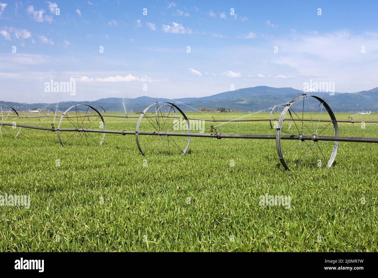 Wet farm field hi-res stock photography and images - Alamy