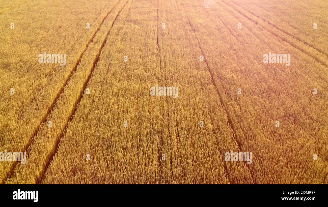 Flying over sowing field hi-res stock photography and images - Alamy