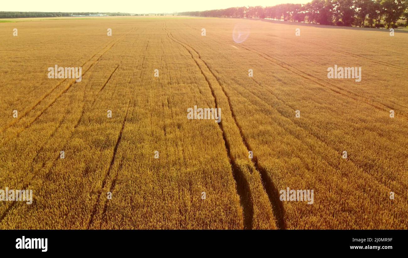 Flying over sowing field hi-res stock photography and images - Alamy
