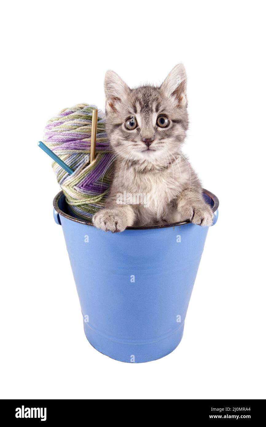 Looking into a bucket Cut Out Stock Images & Pictures - Alamy