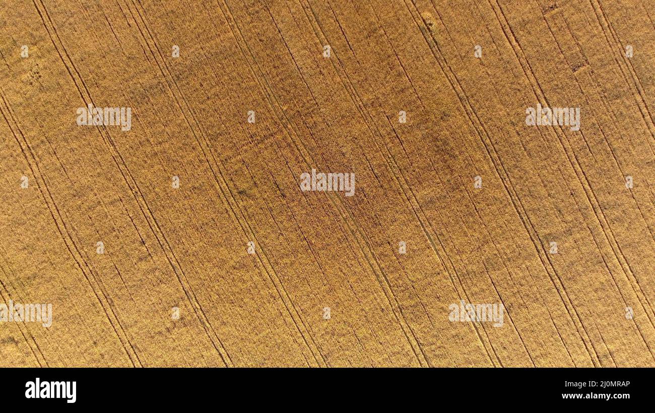 Flying over sowing field hi-res stock photography and images - Alamy