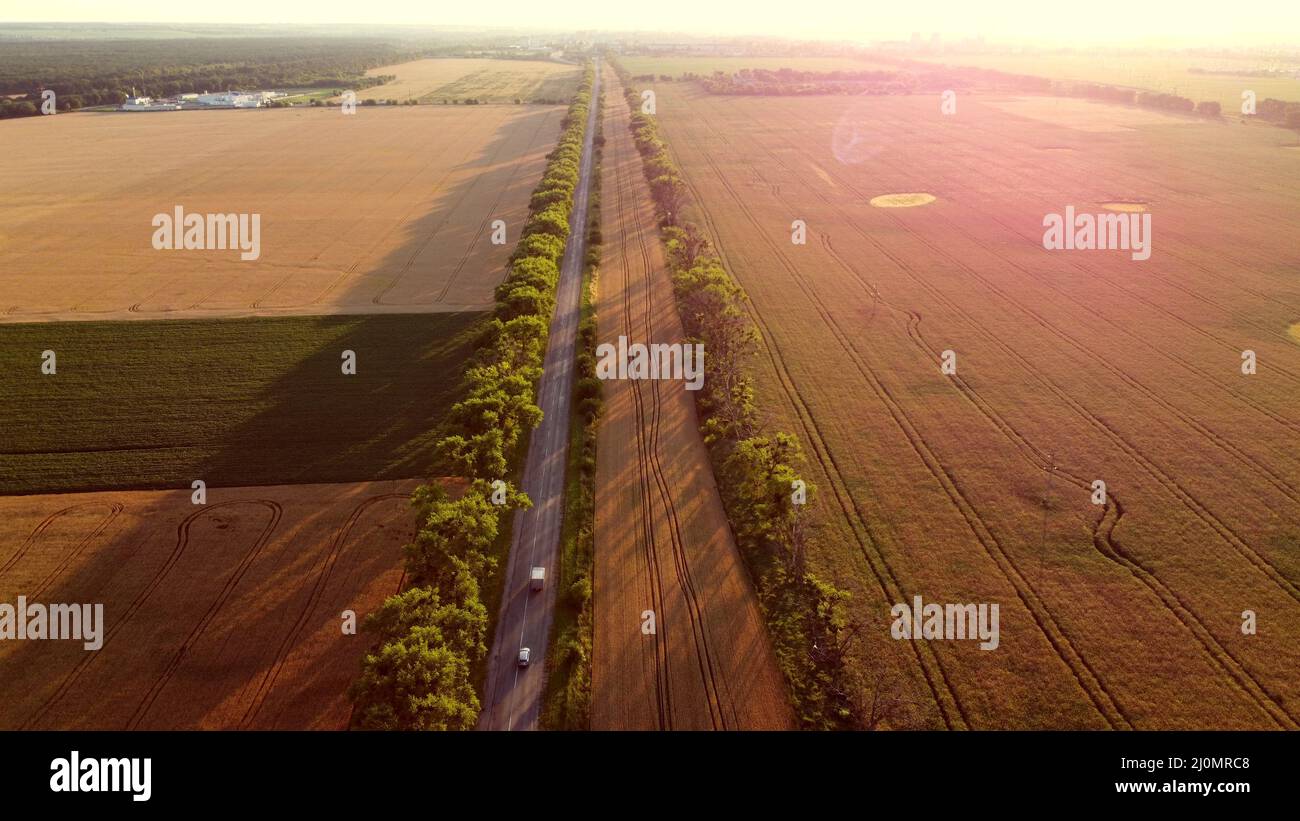 Sun shining over wheat field agriculture hi-res stock photography and ...