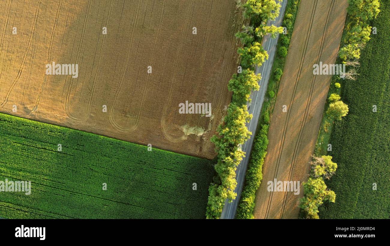 Aerial drone view flight over asphalt road with green trees Stock Photo ...