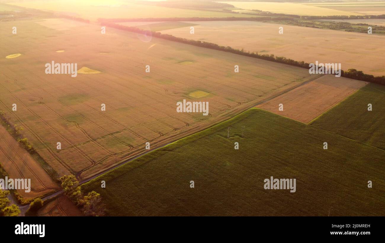 Drone over fields crops sunrise hi-res stock photography and images - Alamy