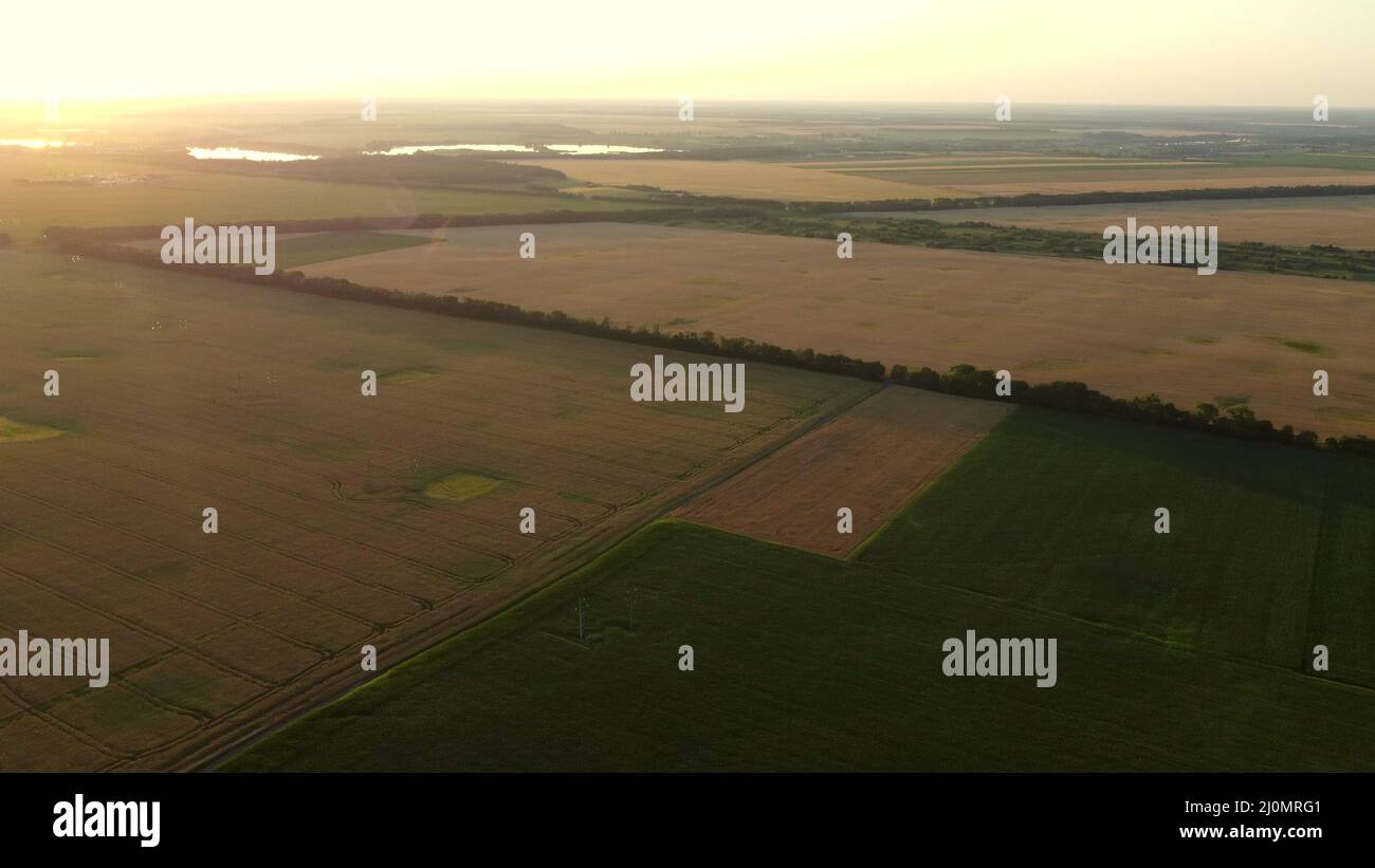 Drone over fields crops sunrise hi-res stock photography and images - Alamy
