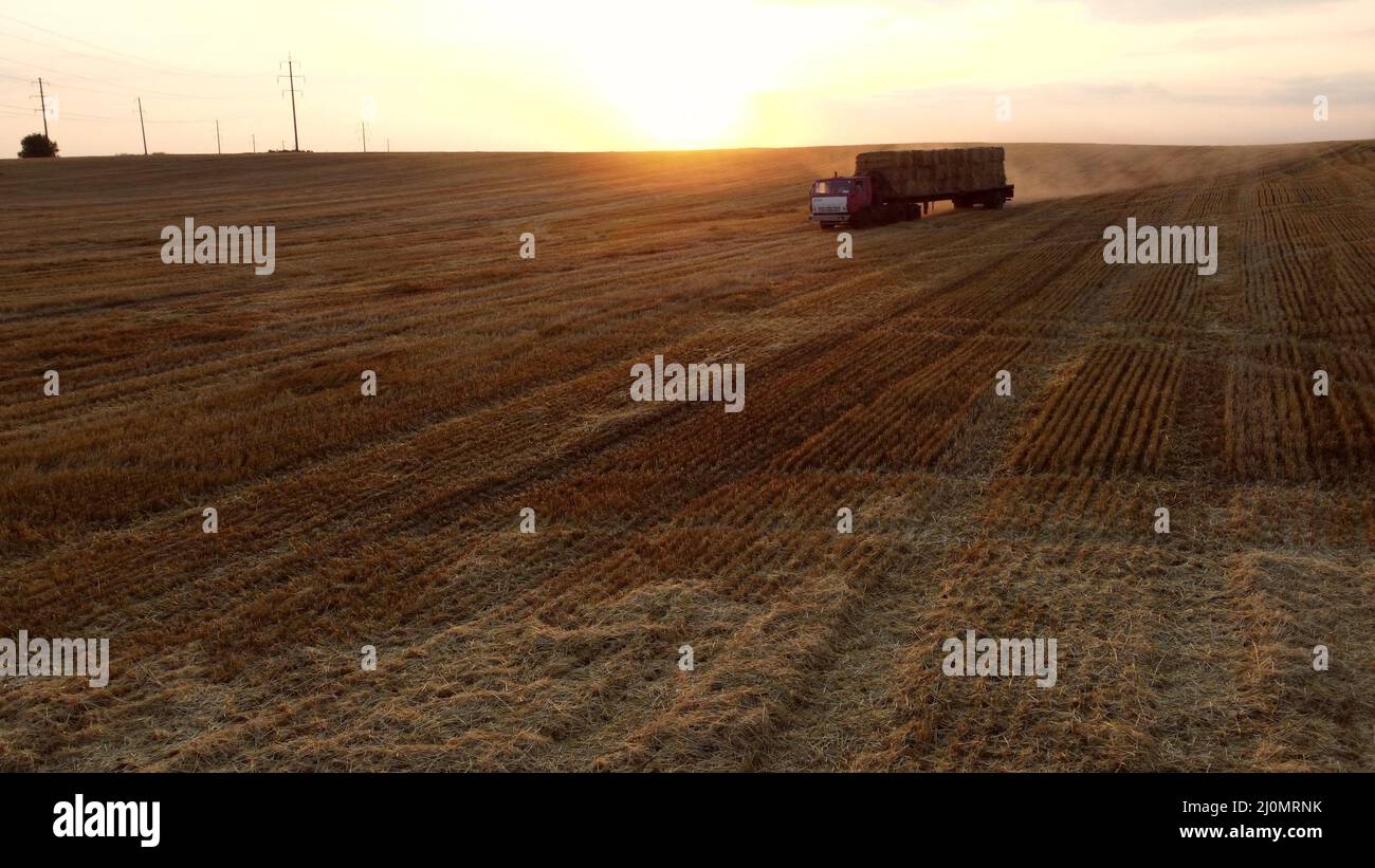 Truck loaded haystacks drives hi-res stock photography and images - Alamy