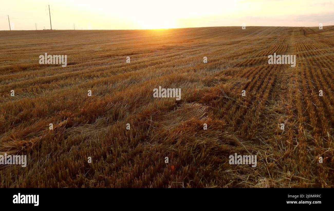 Field after harvest dusk dawn hi-res stock photography and images - Alamy
