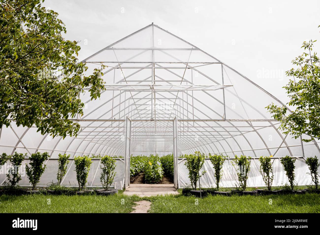 Greenhouse botanical garden singapore hi-res stock photography and ...