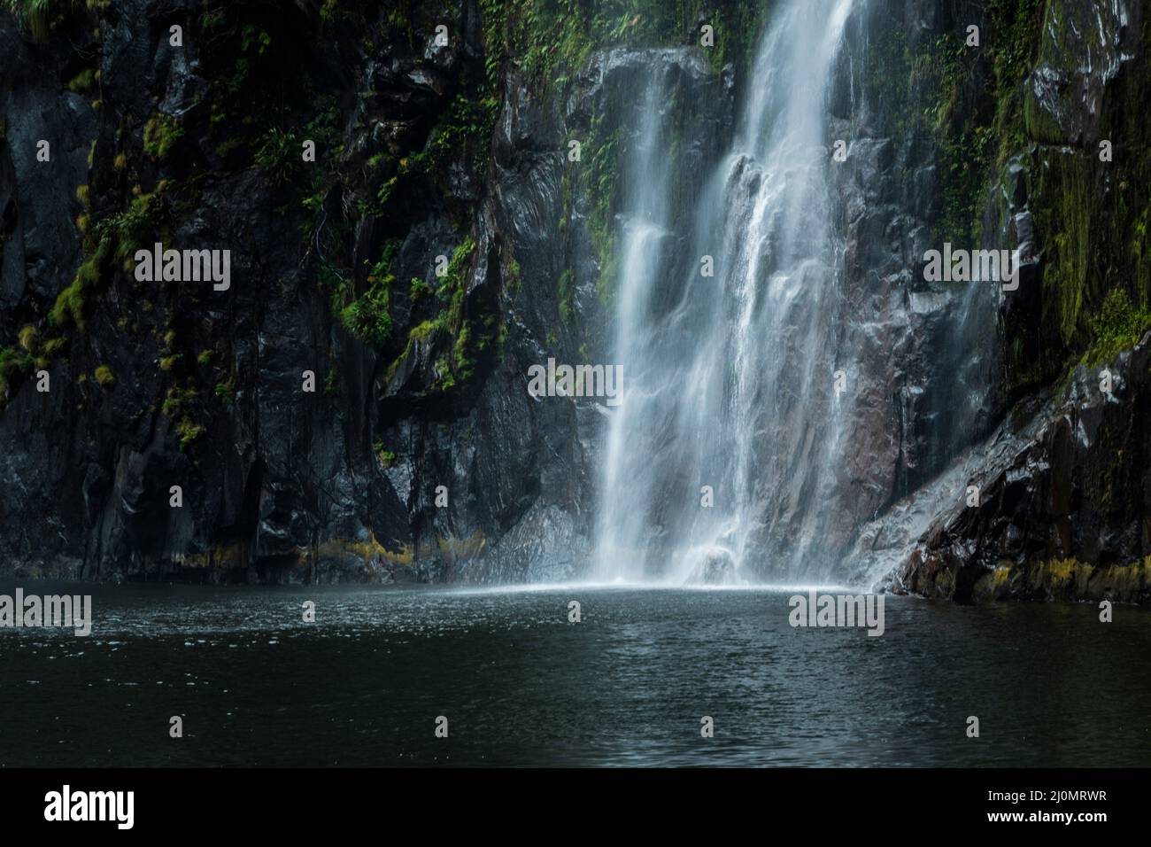 Stirling Falls plunging vertically into Milford Sound, South Island ...