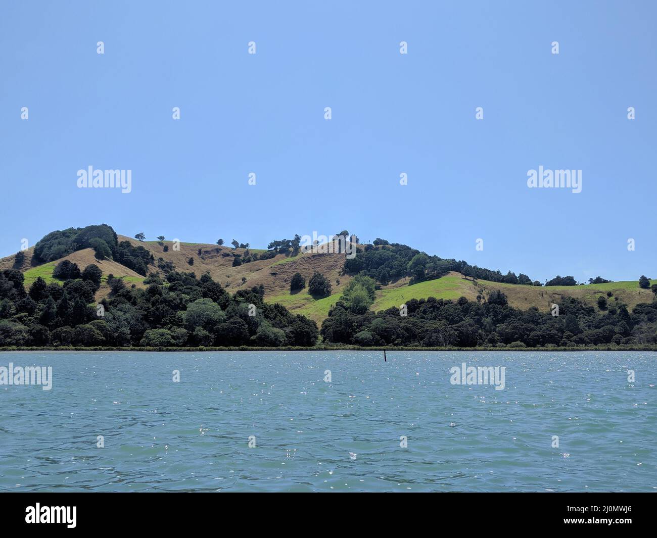 The view of green hill seeing from river, Puhoi, New Zealand Stock ...