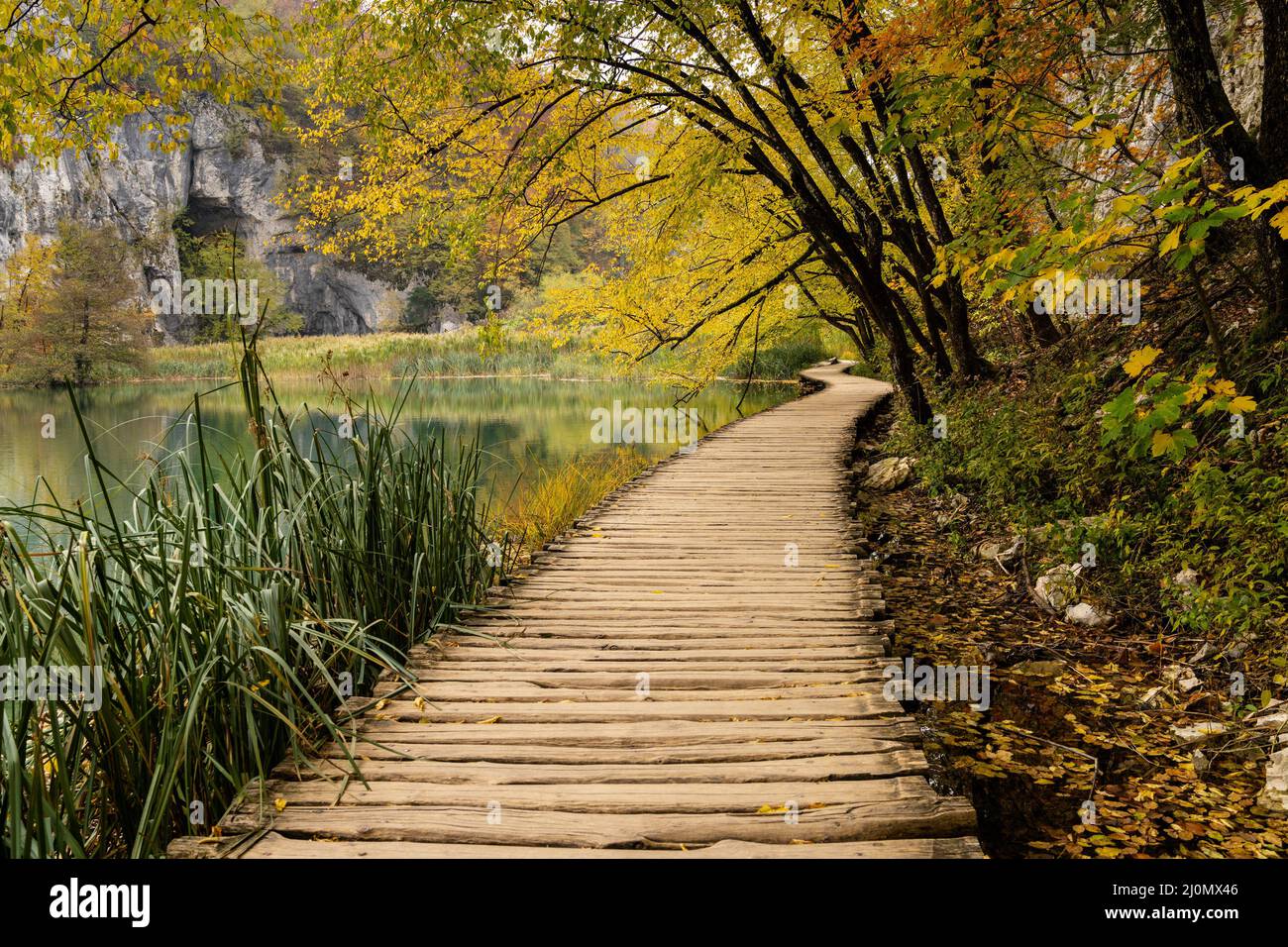 A rustic wooden boardwalk leading along the shores of a picturesque ...