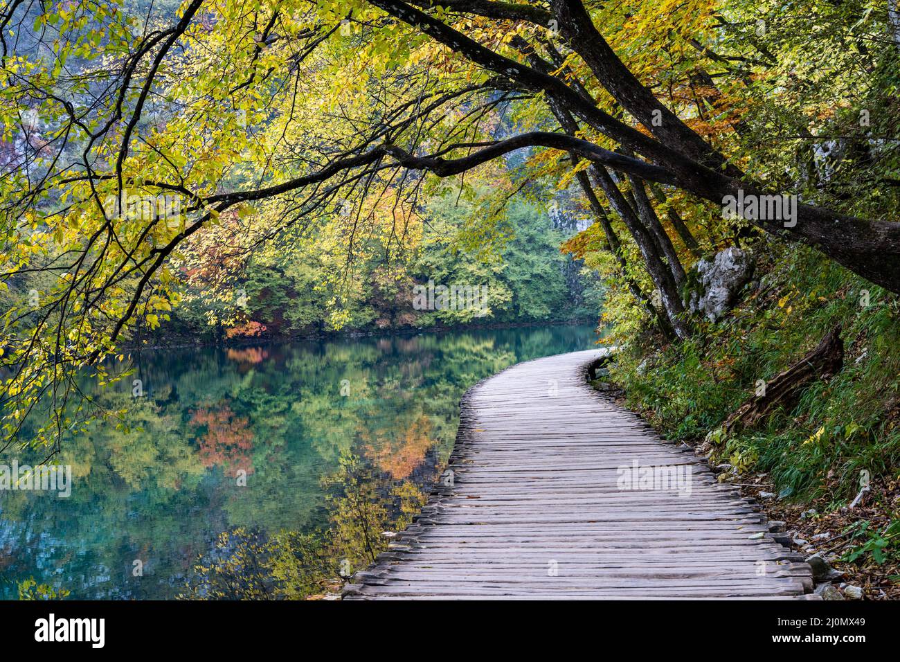 A rustic wooden boardwalk leading along the shores of a picturesque ...