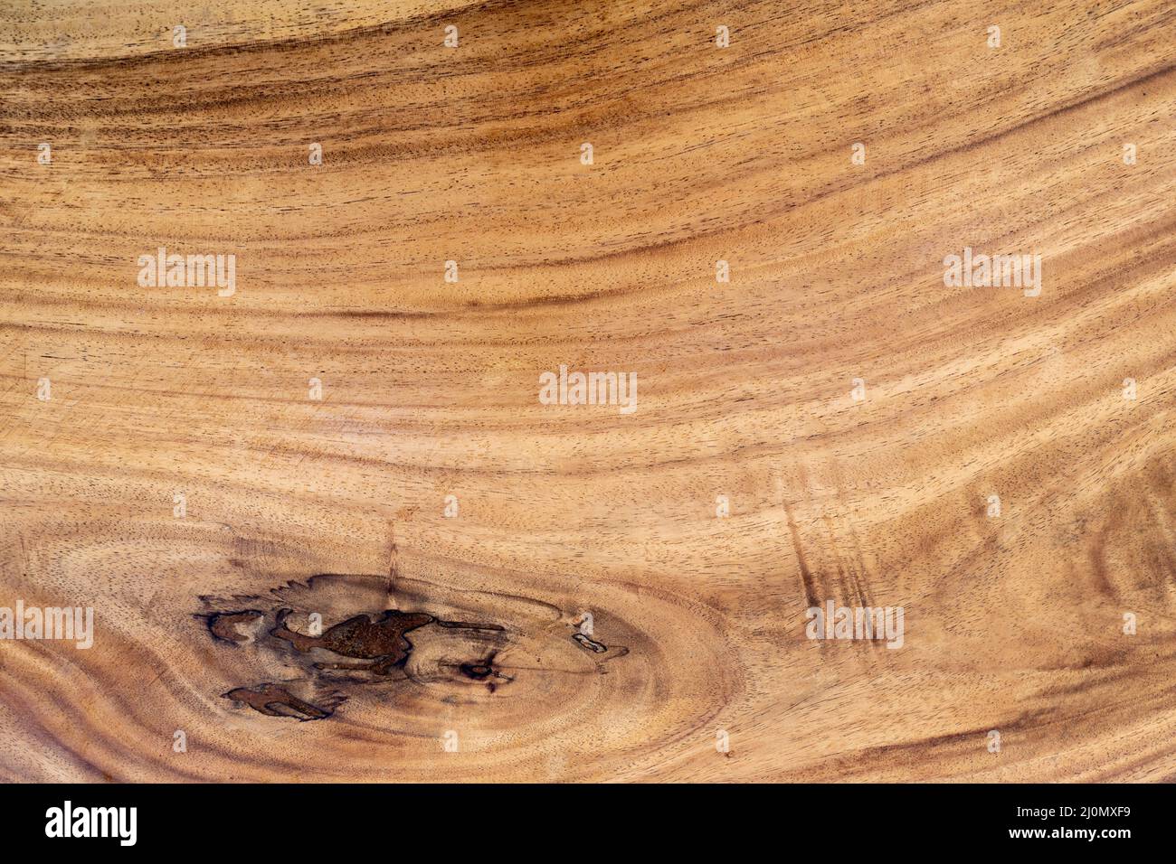 Wood texture background. Light natural wooden textured surface with ...
