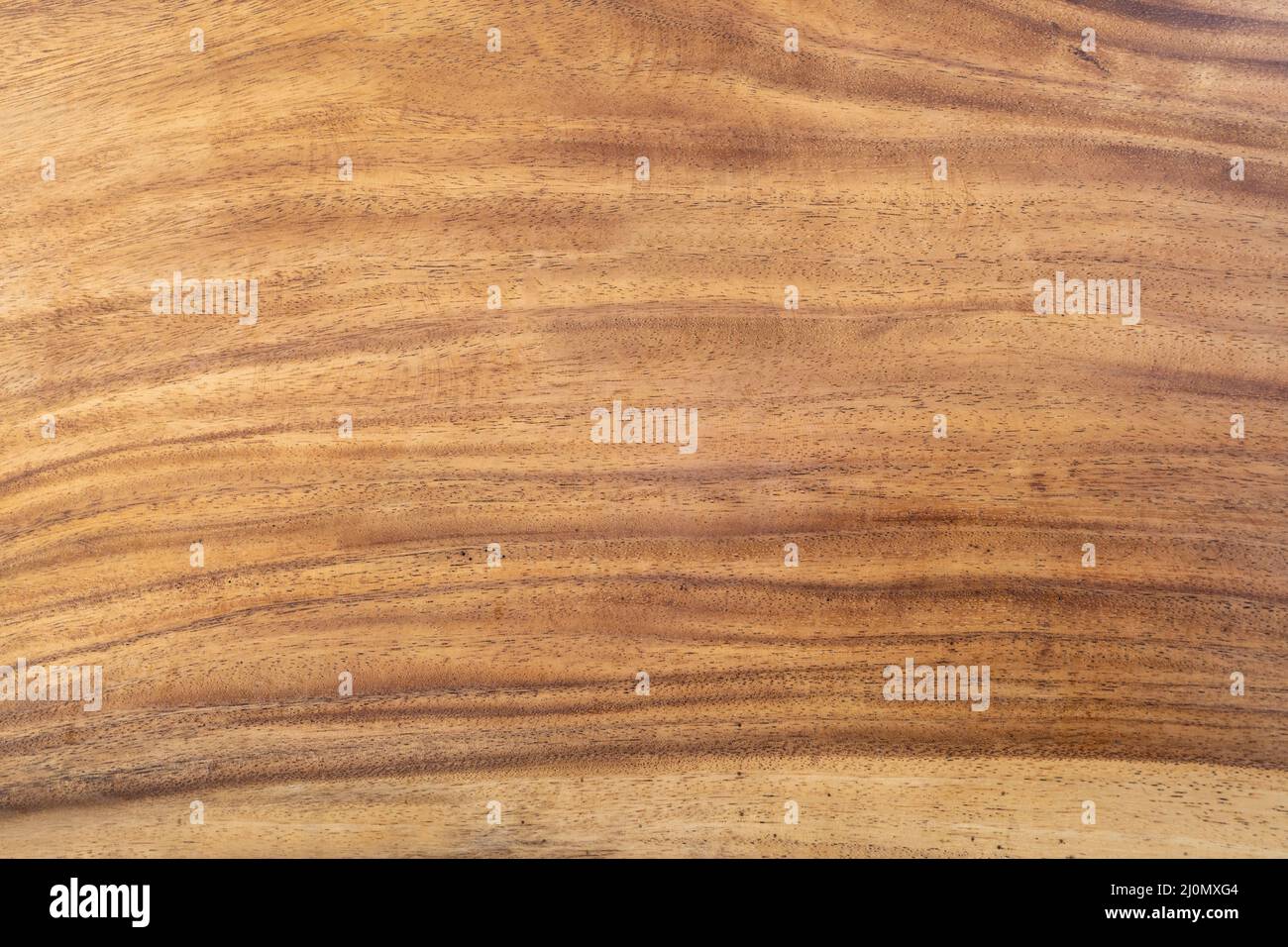 Veins wooden texture surface hi-res stock photography and images - Alamy