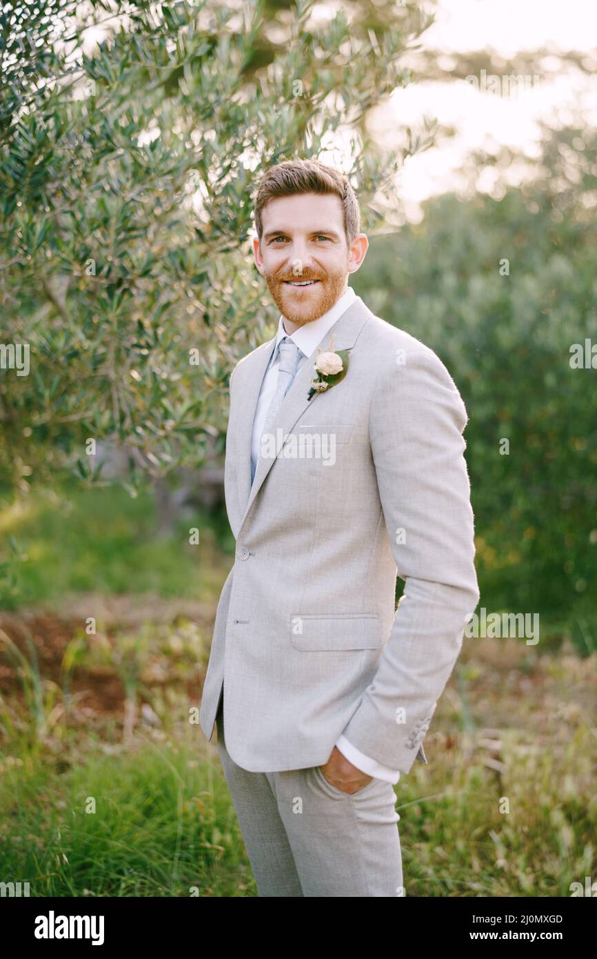Suit in a tree hi-res stock photography and images - Alamy