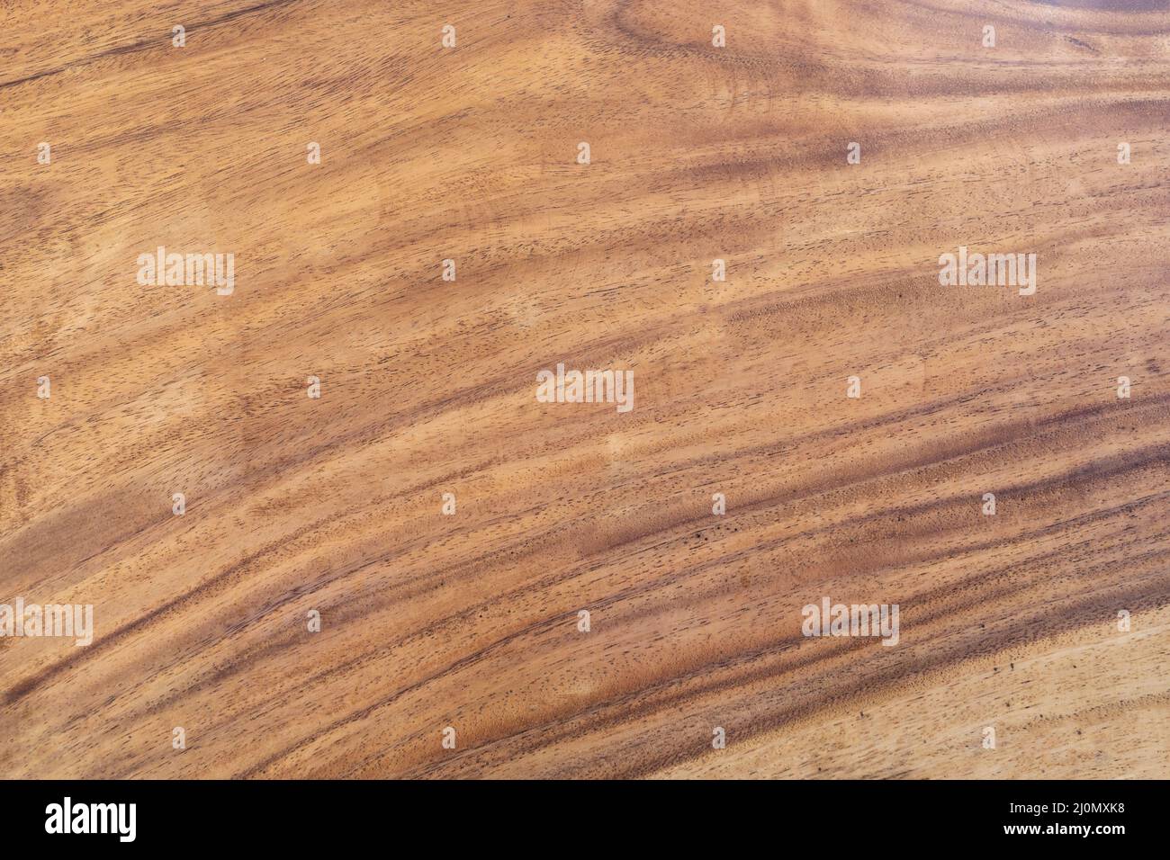 Wood texture background. Light natural wooden textured surface with ...